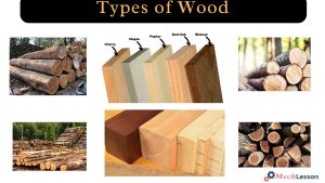 33 Types of Wood and Their Uses - ML