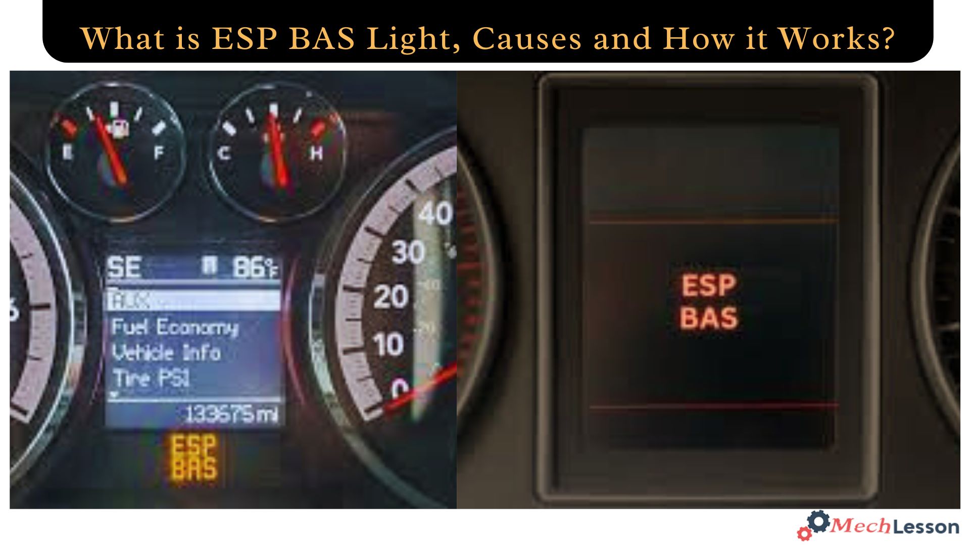 ESP BAS Light, Causes,How it Works and How to Fix - ML